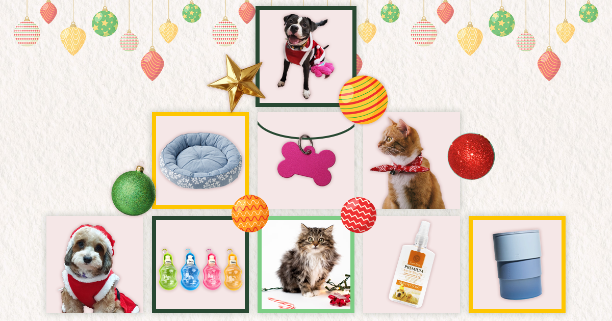 10 Pawsitively Perfect Gifts That Will Make Your Pets Feel Loved This ...